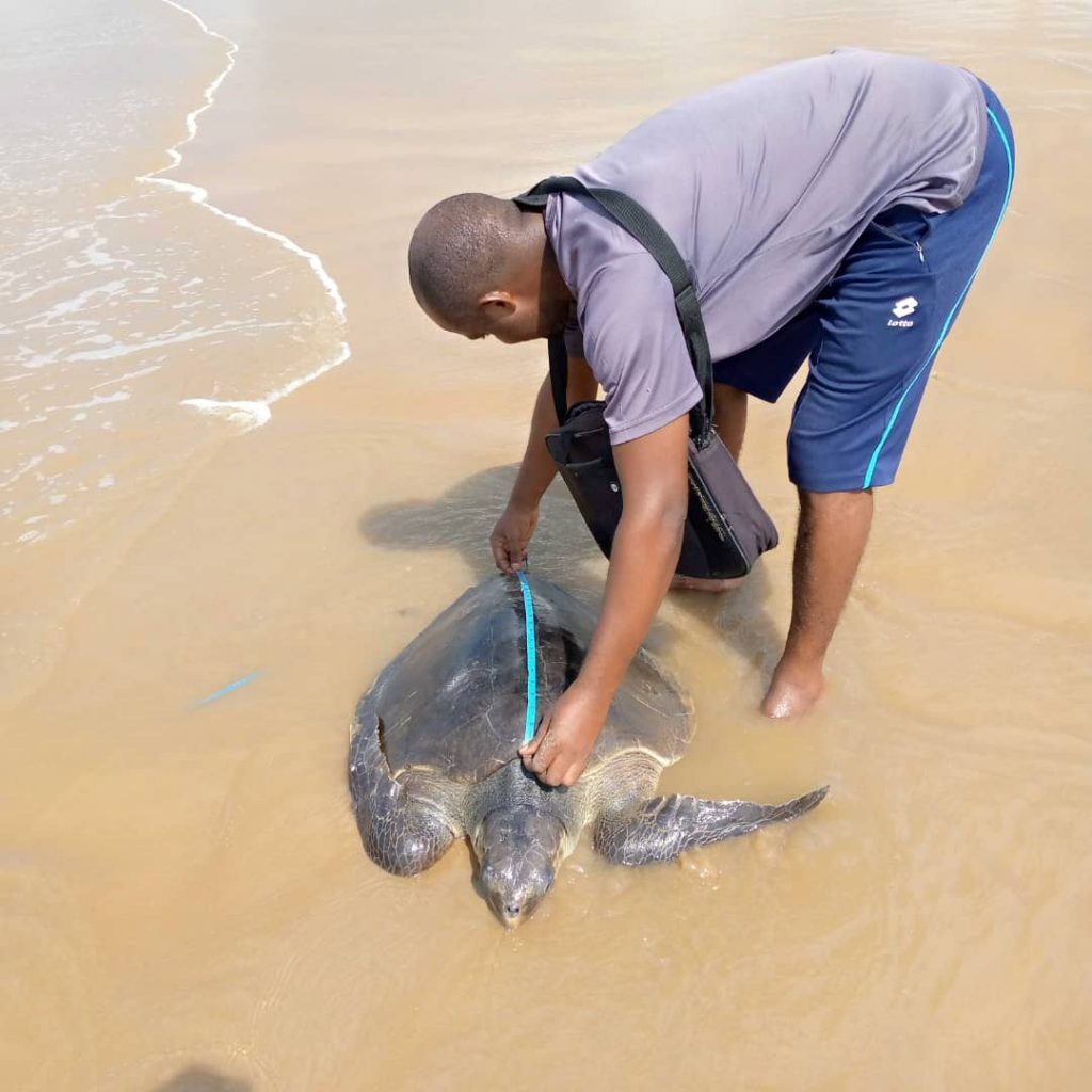 At The Marina Today: Milestone achieved as local communities endorse ...