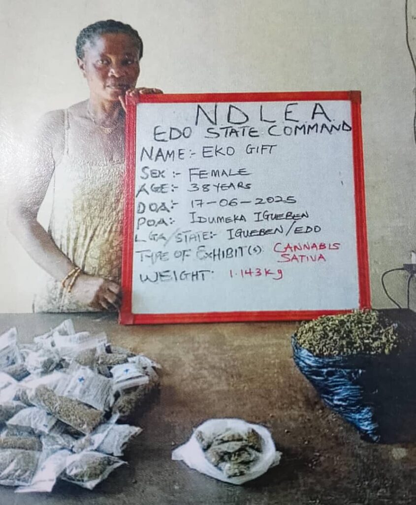 Drug trafficking:17 convicts get 84 years in Edo state – OnePage Africa